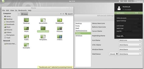 Install Linux Mint Theme Icons In Ubuntu Gnome Shell Gtk3 Cinnamon Noobslab Eye On