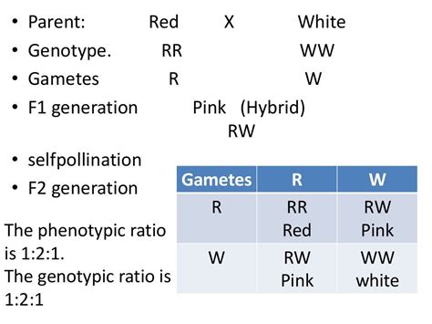 chapter 5 principles of inheritance and variation