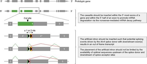 Design Considerations Download Scientific Diagram