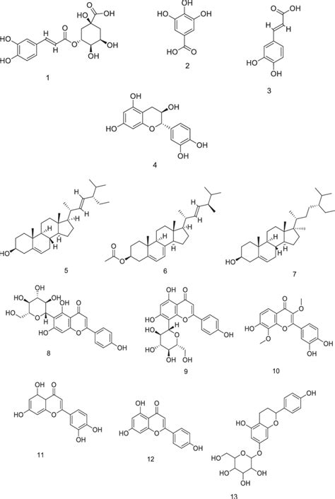 Bioactive Compounds Identified From The Leaves Roots Stems And