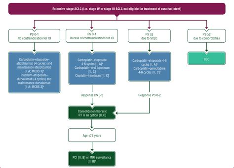 Small Cell Lung Cancer Esmo Clinical Practice Guidelines For Diagnosis