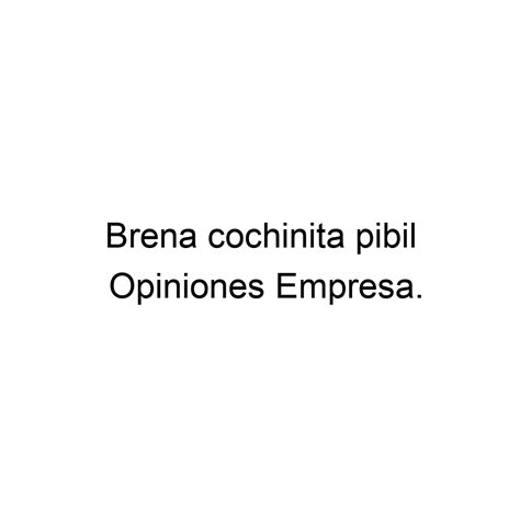 Opiniones Brena Cochinita Pibil