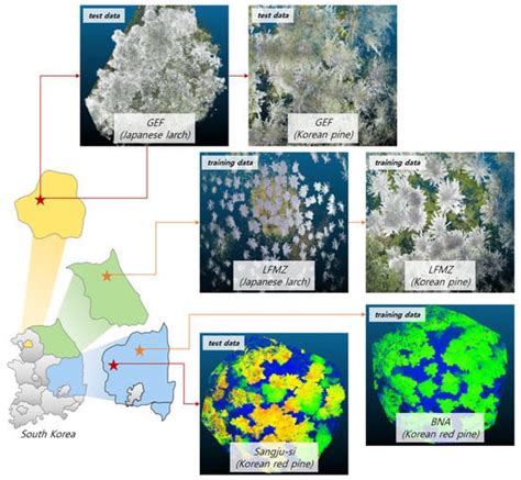 Automated Segmentation Of Individual Tree Structures Using Deep