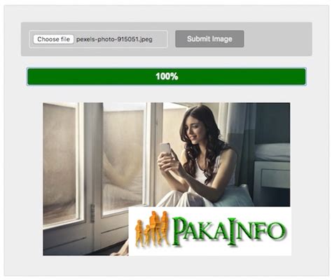 Jquery Ajax Image Upload With Animating Progress Bar Phppot
