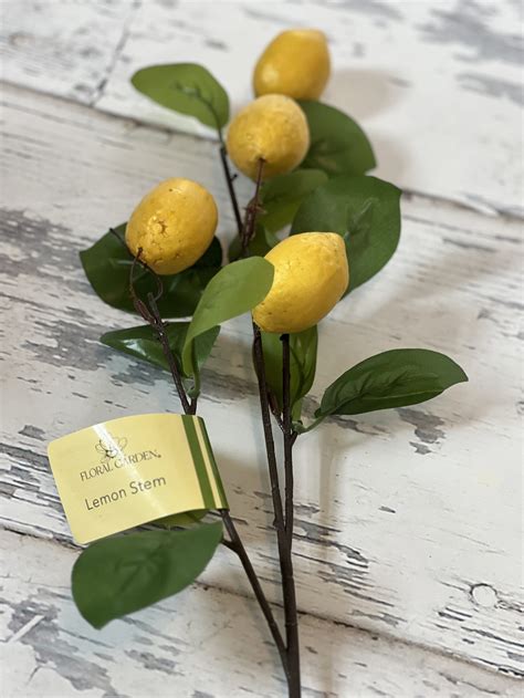 Diy Lemon Tree Re Fabbed