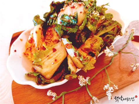 봄동김치 겉절이무침 황금레시피 도시락반찬요리