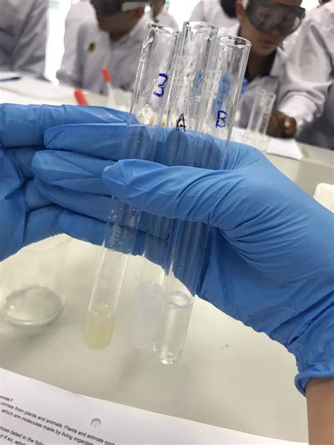 Biomolecule Detection Lab