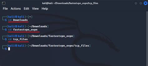 How To Setup Openvpn On Kali Linux Fastestvpn Support
