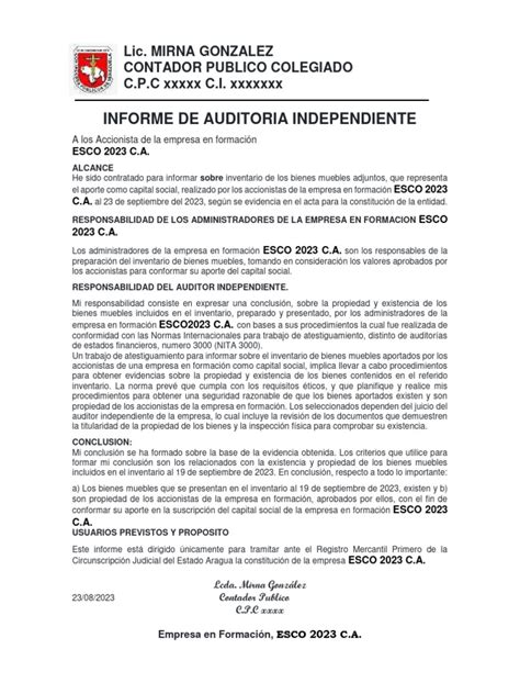 Model De Informe Inventario Esco 2023 Ca Pdf Auditoría Business
