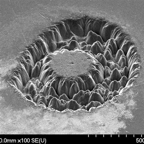 Sem Image Of The Sample Surface That Was Ablated With A Standing Target