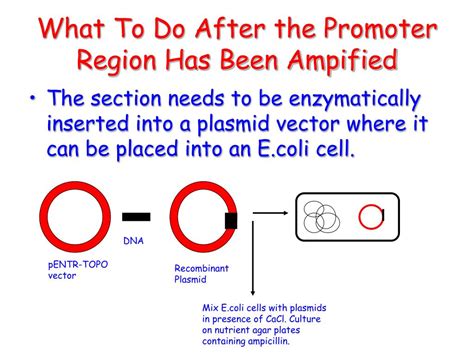 Ppt Methods For Gene Activity Analysis Powerpoint Presentation Free
