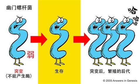 某种细菌能抵御抗生素，人说它进化了，是真的吗？ 知乎