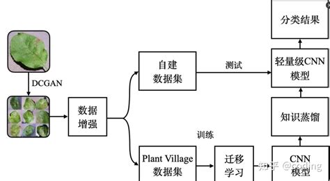 基于深度学习 Yolov8的植物叶片病害识别系统【附源码 可远程安装部署】 知乎