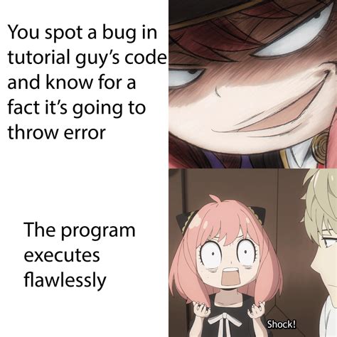 Doyourdamnjobcompilersan R Programmerhumor