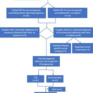 Describes A Framework Used For Couples Presenting To PGC Requiring PND Download Scientific