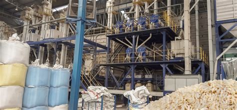 Everything About Rice Processing Essential Techniques Challenges And Innovations