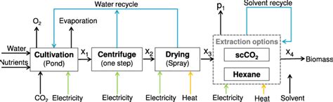 Process Scheme Of Industrial β Carotene Production By D Salina The