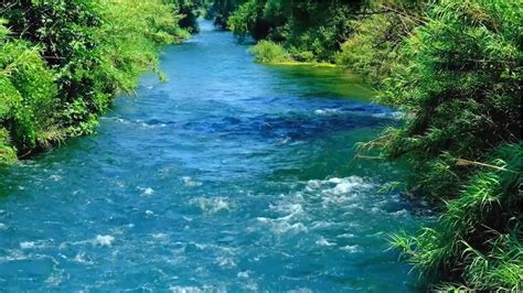 평화로운 강물 흐르는 물 소리 잔잔한 강물 편안한 자연의 소리 휴식을 취할 수 있는 놀라운 장소 휴식 명상 수면 스트레스 해소 공부 집중 Asmr