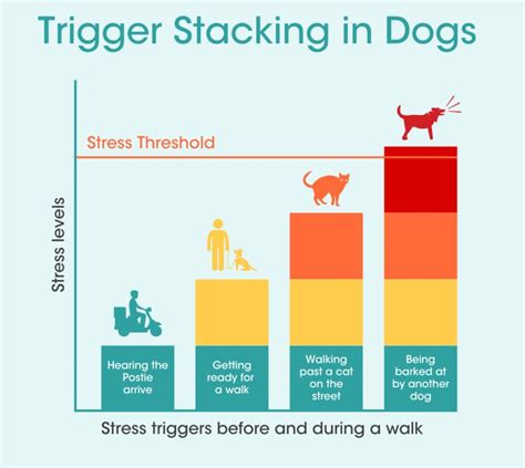 What Is A Non Stacking Trigger At Debra Hunsaker Blog