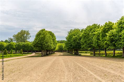 Tree Lined Pathways At The Grand Parterre Chateau De Fontainebleau