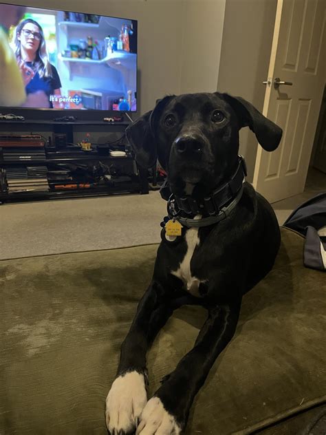 Perfect Timing Album On Imgur