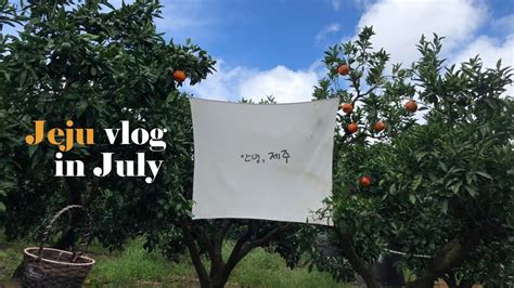 Jeju Vlog 제주도 3박 4일 여름휴가 브이로그 🌿 15년지기 친구들과 첫 우정여행 제주맛집 카페투어 이찌 2zzzzi Youtube