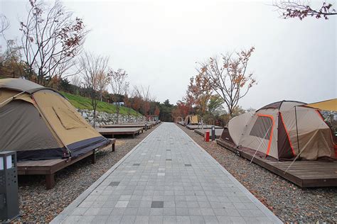 대구 달서구 달서별빛캠프 캠핑장