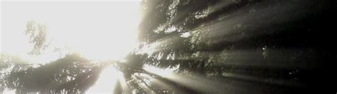 Erotic Hypnosis NLP Persuasion NLP Seduction Patterns HubPages