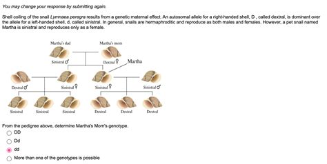 Solved You May Change Your Response By Submitting Again Chegg Com