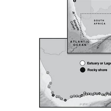 Map Of The Sampling Area Showing Sampling Localities Names Of Sites Download Scientific