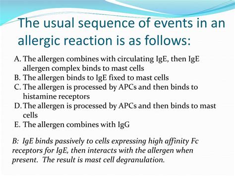 Ppt Ige Hypersensitivity Powerpoint Presentation Free Download Id