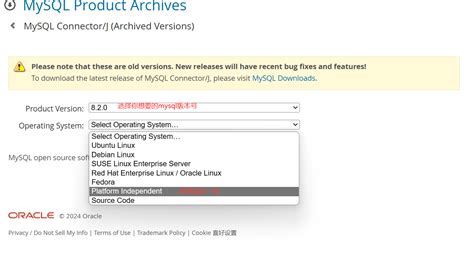 driver class name com mysql jdbc driver爆红的问题解决 mysql 脚本之家