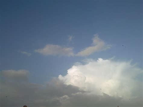 My Beautiful Picutre Album Bright White Cloud