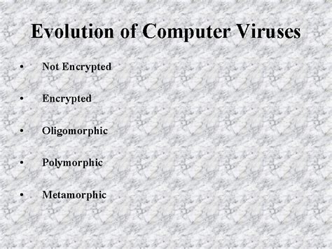 Windows Pe Files Infections And Heuristic Detection Nicolas