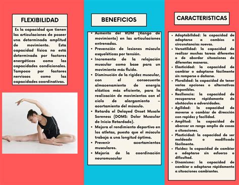 Folleto Flexibilidad Flexibilidad Es La Capacidad Que Tienen Las Articulaciones De Poseer Una