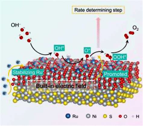 Acs Catalysis Vol 14 No 14 Acs Publications