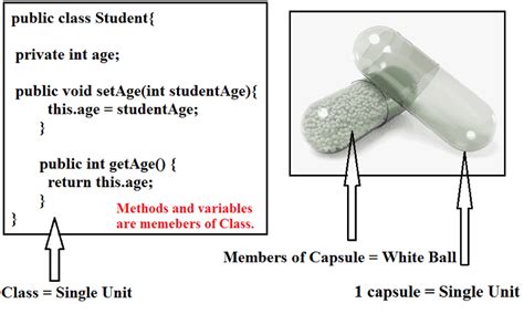 encapsulation in java a brief explanation
