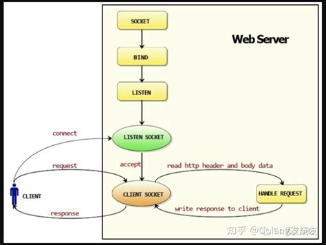 打工人必须搞懂 包源码分析 知乎