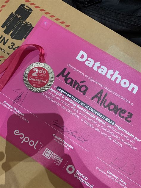 Analistadedatos Datathón Powerbi Python Trabajoenequipo María