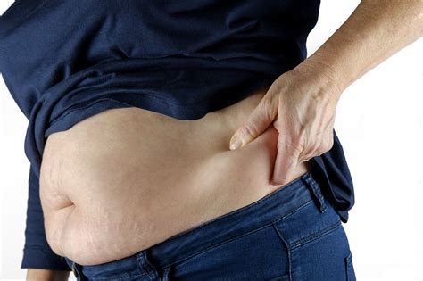 Warum wird man dick? – AHAB-Akademie