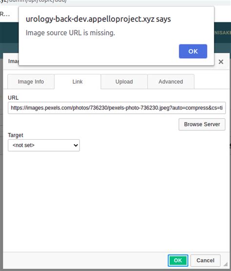 Issue With Image Uploading Via Link Tab Issue Django Ckeditor Django Ckeditor Github