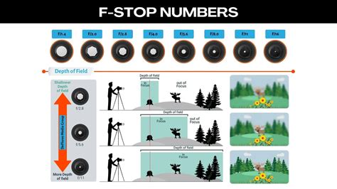 Photography Aperture Understanding Effects And Techniques