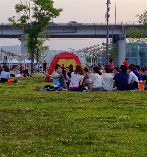 Six Things You Need For A Korean Picnic Koreabridge