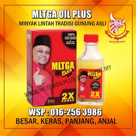PEMBEKAL UTAMA MINYAK LINTAH BELACAK MLTGA OIL PLUS PATI LINTAH GUNUNG ASLI MALAYSIA
