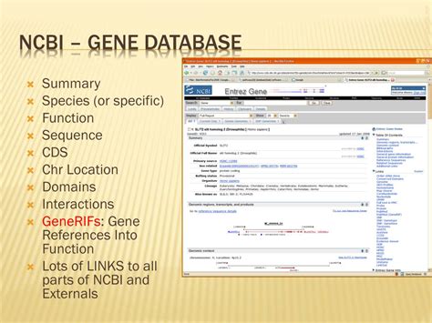 PPT Bioinformatics Gene Databases PowerPoint Presentation Free Download ID