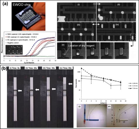 Nucleic Acid Based Detection Of Biological Analytes Driven By The Ewod