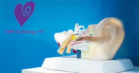 Decoding Sound Your Guide To Auditory Perception