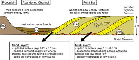 Schematic Diagram To Show Processes Of Mud And Sand Accumulation In