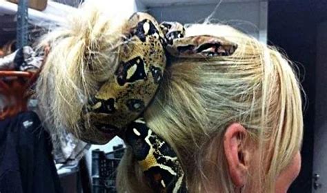 ამ ფოტოებზე რა ხდება სურათები კონტექსტის გარეშე 8 25 ფოტო