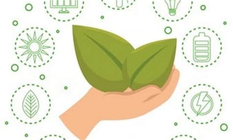 How Does Machine Learning Aid In Accelerating Ecological Research